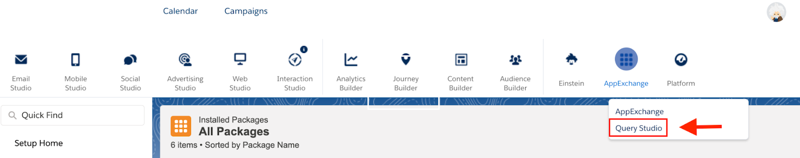 Query Studio de Salesforce Marketing Cloud | ShowerThinking